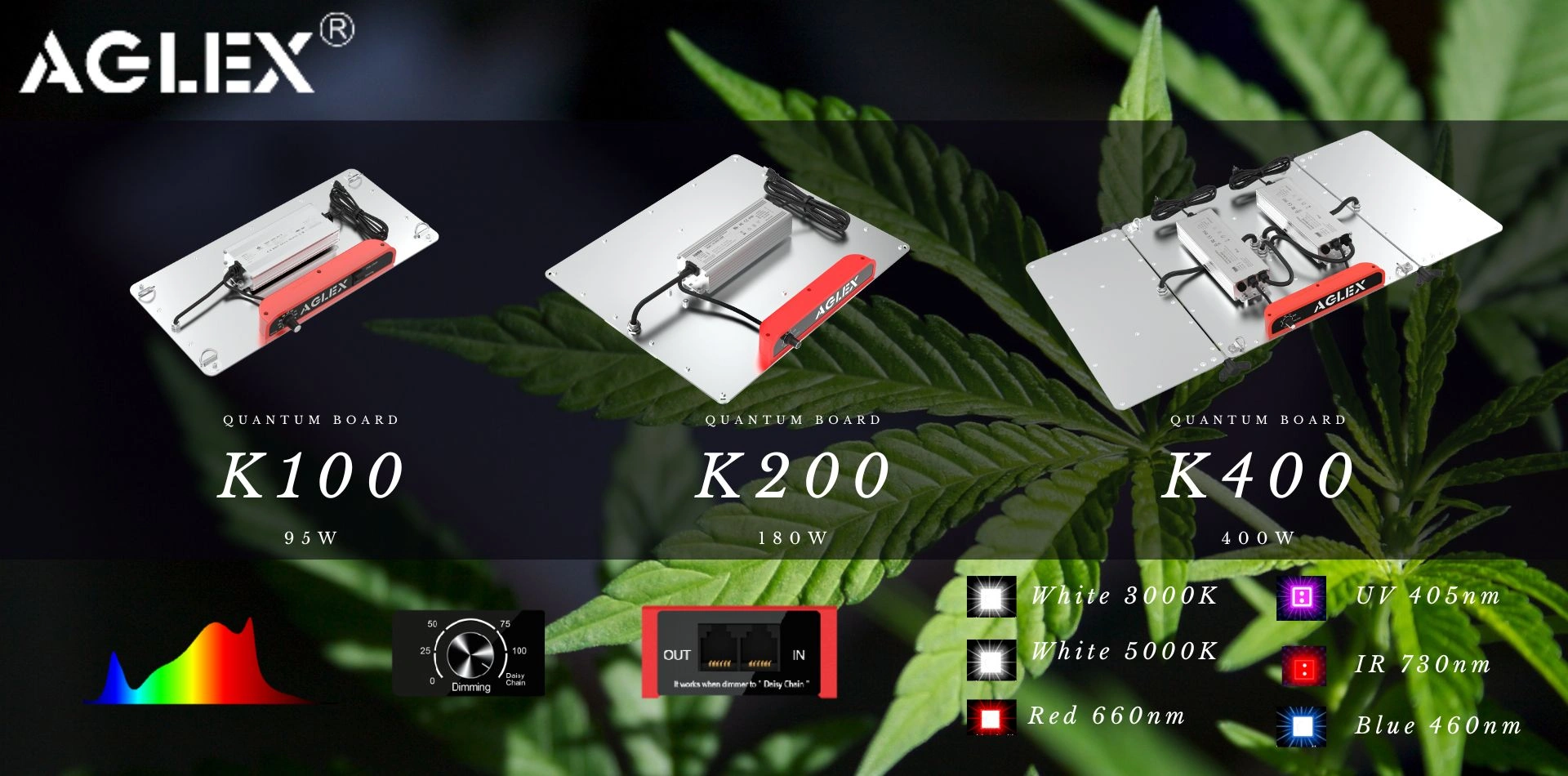 China Led Grow Light, Cob Led Grow Light, Led Grow Light Bar, Plant ...