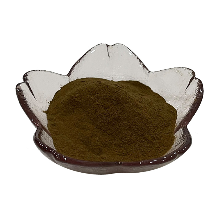 สารสกัดจาก Bupleurum Powder Radix Burpleuri Extract คุณภาพสูง สารสกัด ...