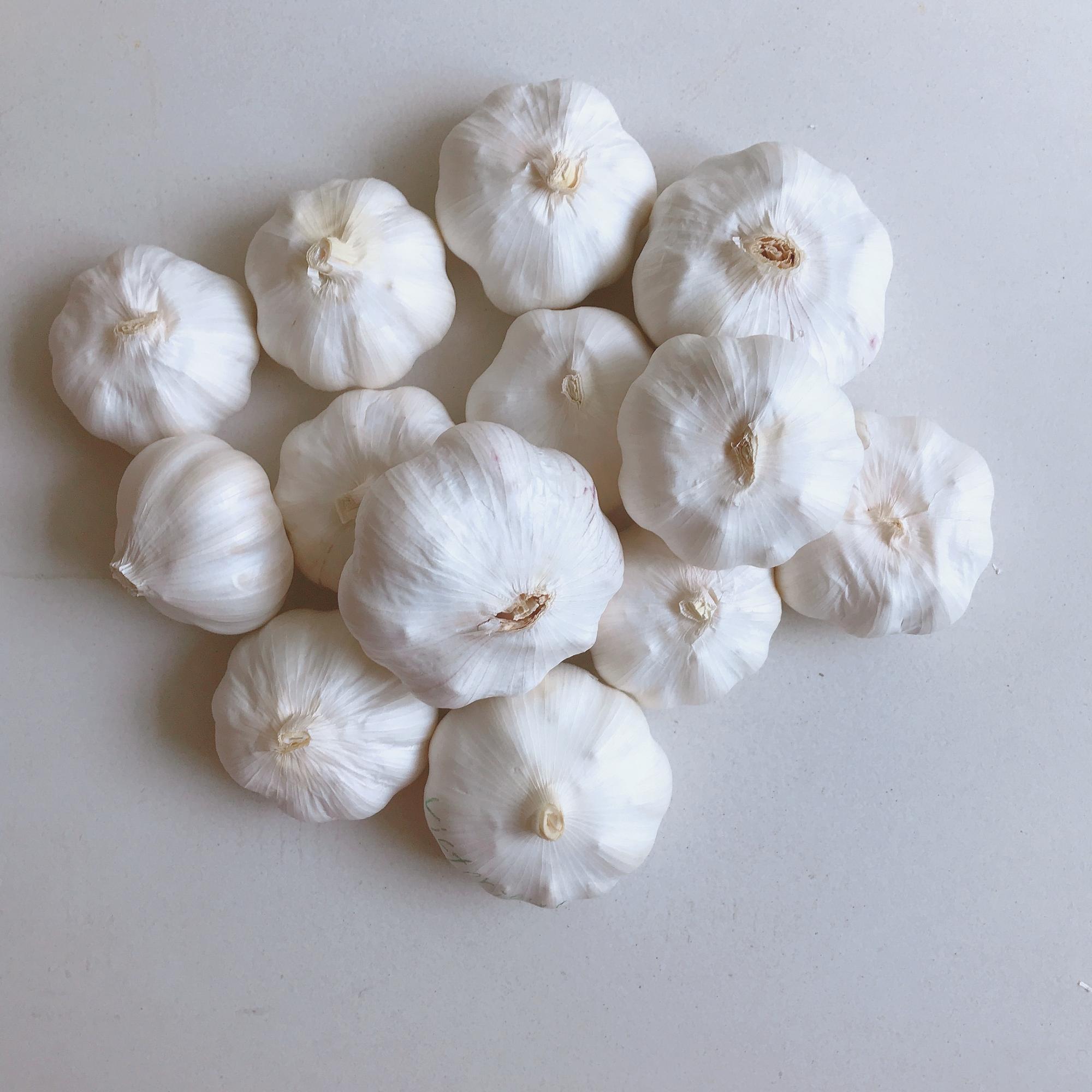 Pure White Garlic And Normal White Garlic, High Quality Pure White ...