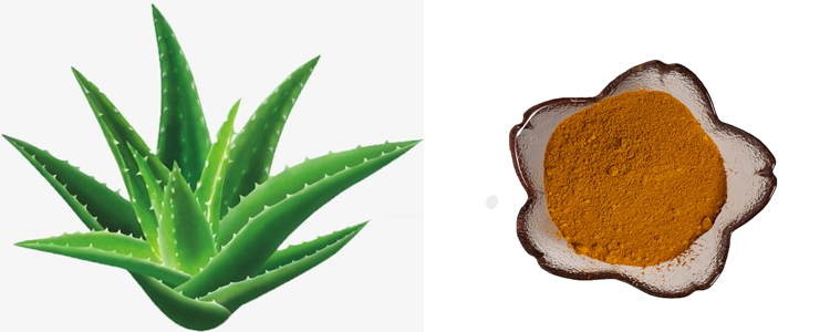 Aloe-emodin Powder 95% Aloe Extract Emodin Powder, High Quality Aloe ...