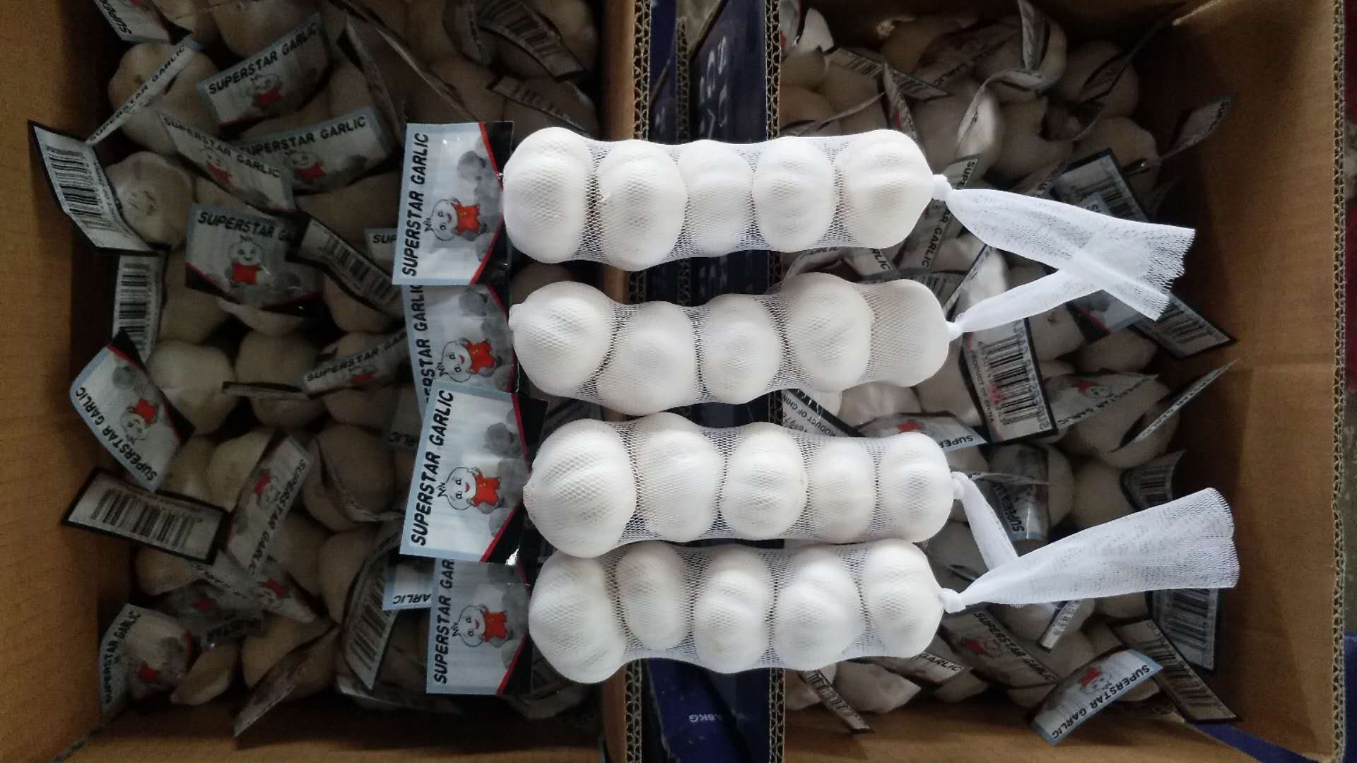 Snow White Garlic From Jin Xiang, High Quality Snow White Garlic From ...