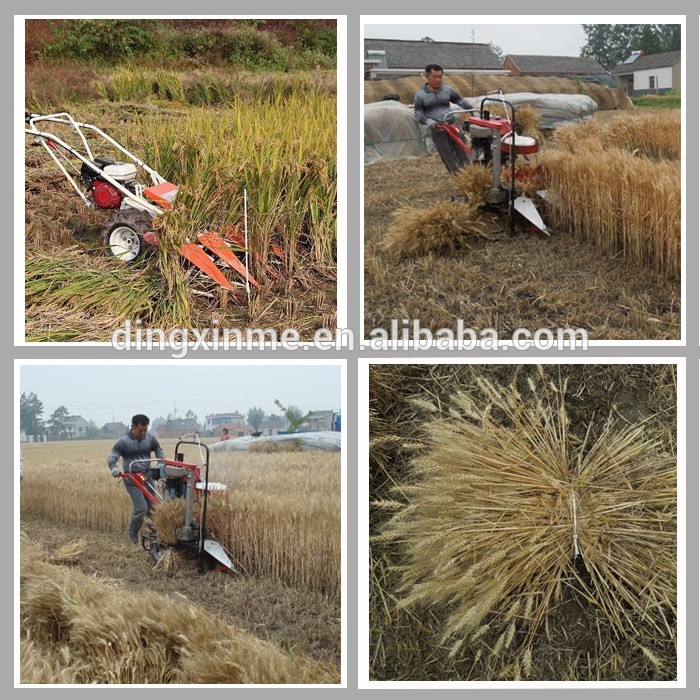 1500mm Gasoline Weed Cutting Machine / Cutter / Reaper, High Quality ...