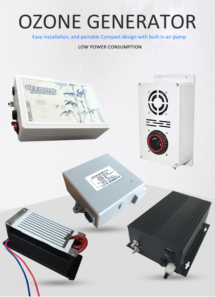 Auto Gas Ozone Cabinet Fqm-p1000 Ozone Generator For Air Disinfection And Sterilization, High ...