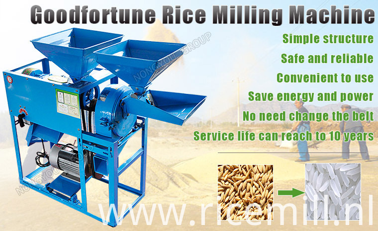 Small Grain Mill Farm Rice Milling Equipment