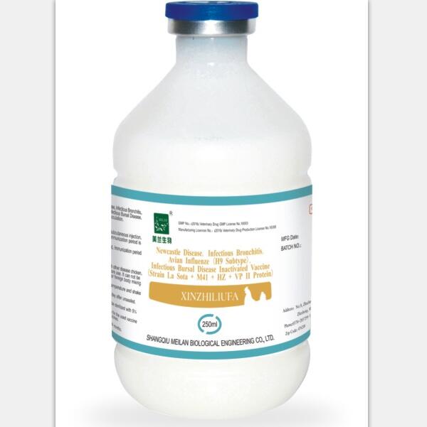 복합 Nd Ib Ai Ibd 백신, Bossgoo.com의 고품질 복합 Nd Ib Ai Ibd 백신