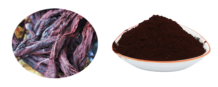 Shikonin Powder 30% Alkanet Extract Powder, High Quality Shikonin ...