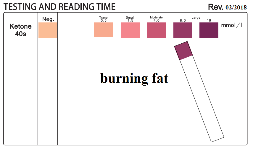 Mdk Diet Test Ketone Test Strips, High Quality Mdk Diet Test Ketone ...